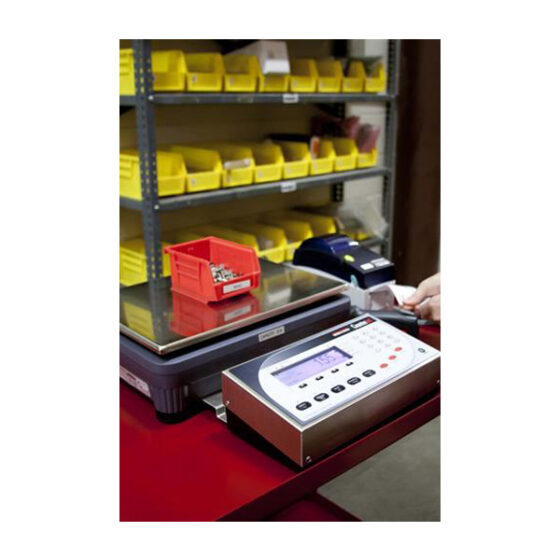 Counterpart® Configurable Counting Indicator - SISSAC